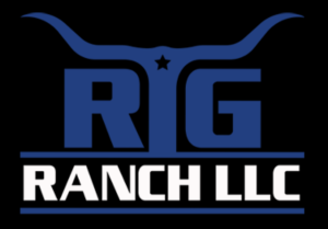 RTG Midnight Jingles